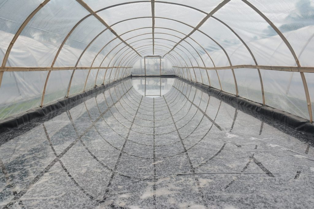 Hasilkan Garam Kualitas Tinggi Dengan Tunnel Garam “Tunnel 3” - PT ...
