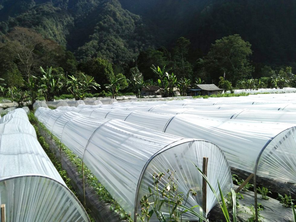 Mulsa, Selang / Pipa HDPE, Selang Irigasi, Embung Mini - PT. Kencana ...